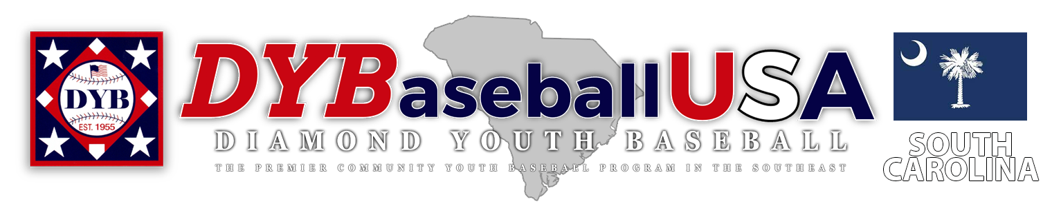 Diamond Youth Baseball (DYB) - Premier Recreational Youth Baseball ...