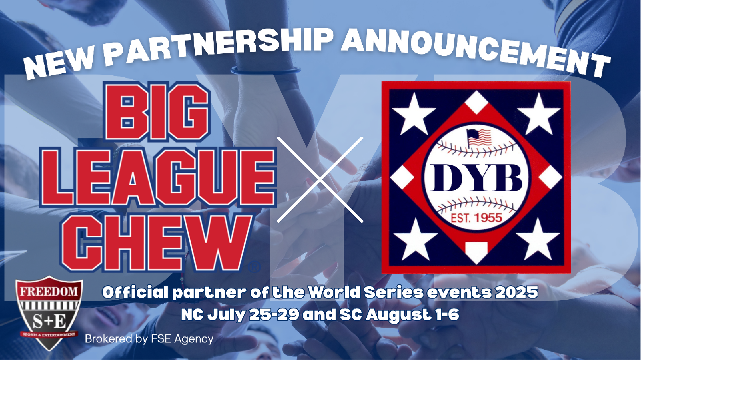 Diamond Youth Baseball DYB Premier Recreational Youth Baseball diamond-youth-baseball-dyb-premier-recreational-youth-baseball